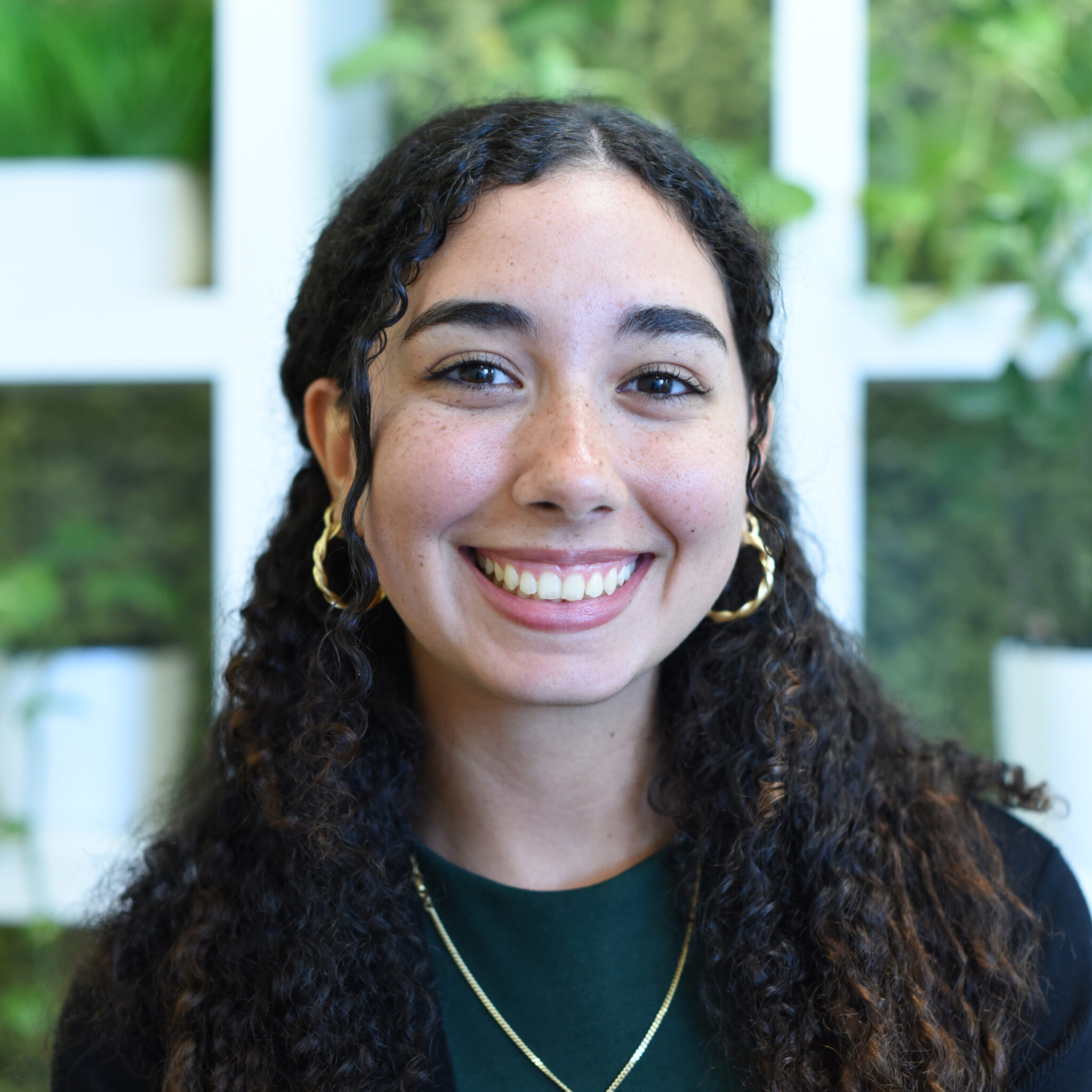 Rebecca S. Fadhel Carballo - Flamboyan